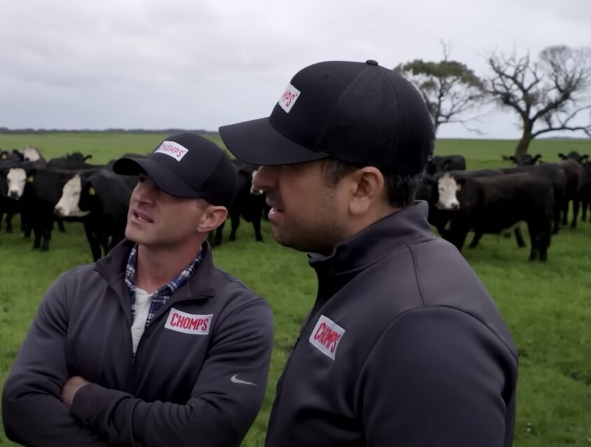 From Humble Beginnings to Snack Empire: The Remarkable Rise of Chomps